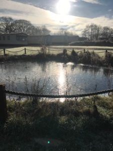 Orchard Springs – Our Secret Campsite