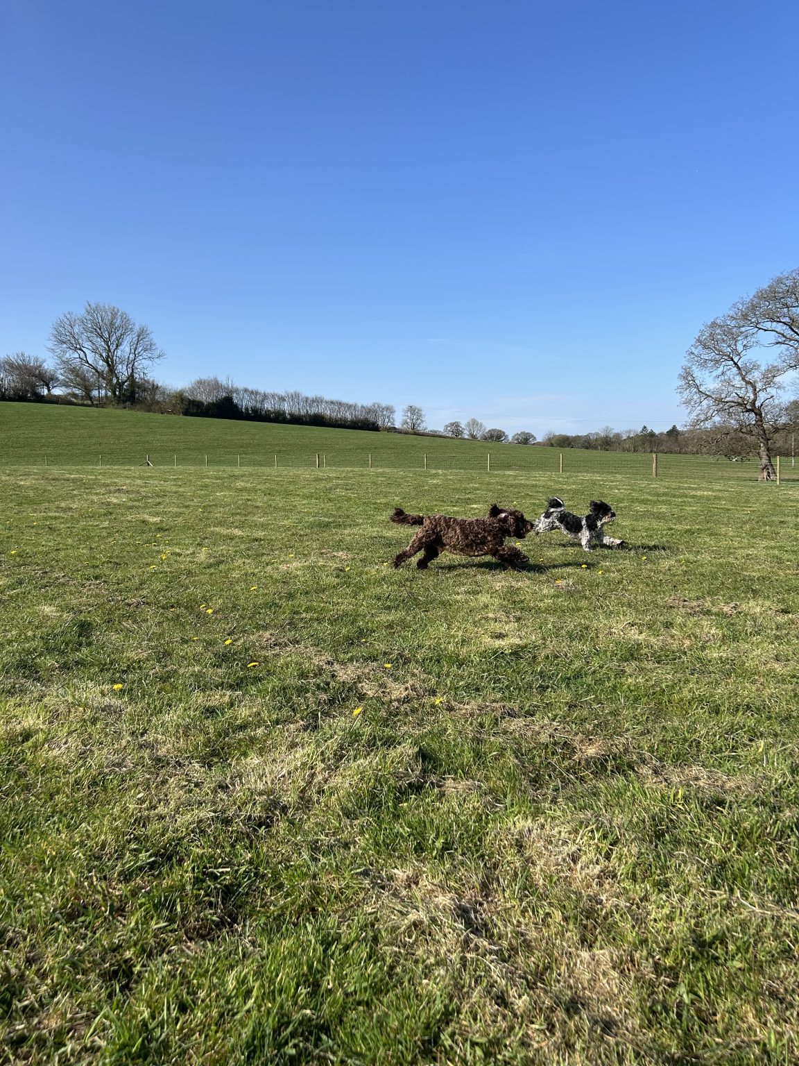 Orchard Springs – Our Secret Campsite