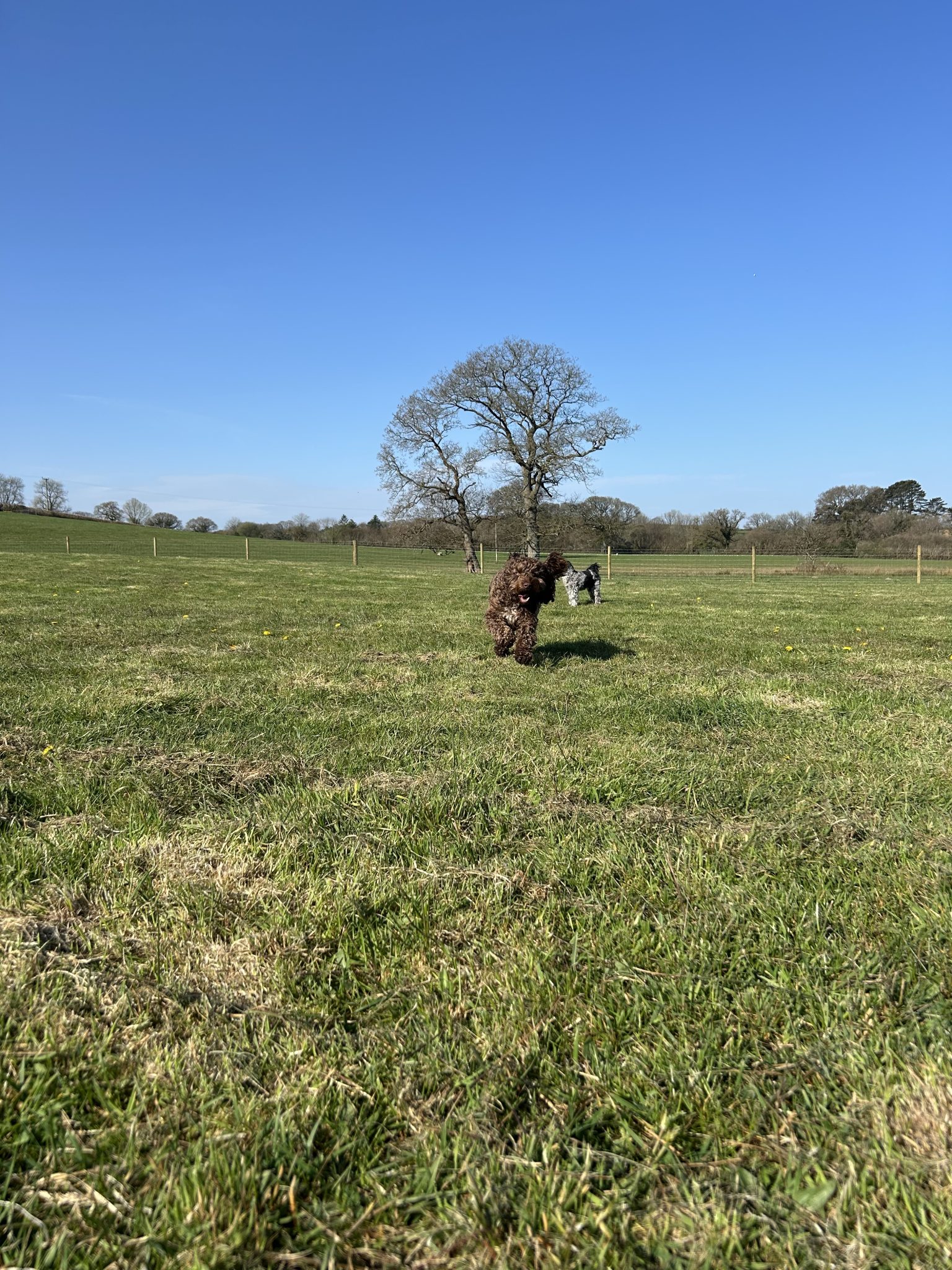 Orchard Springs – Our Secret Campsite